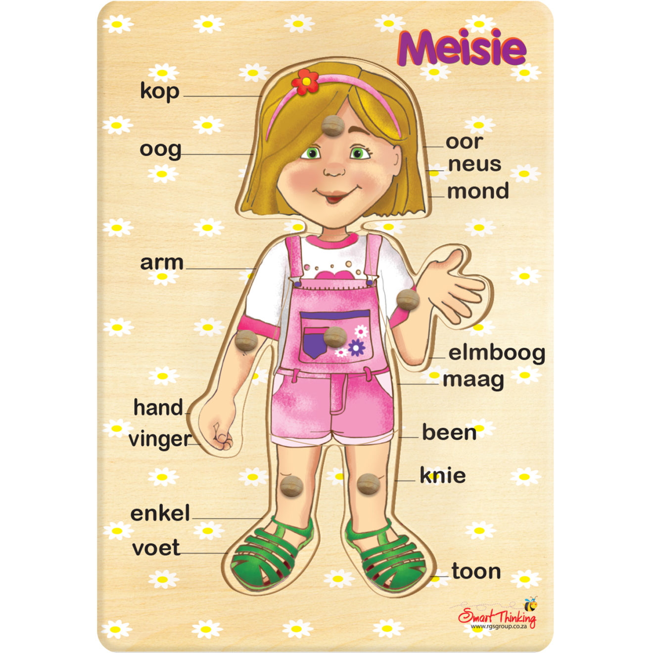 My Liggaam – Meisie – Peg Puzzle 6pc – RGS Group