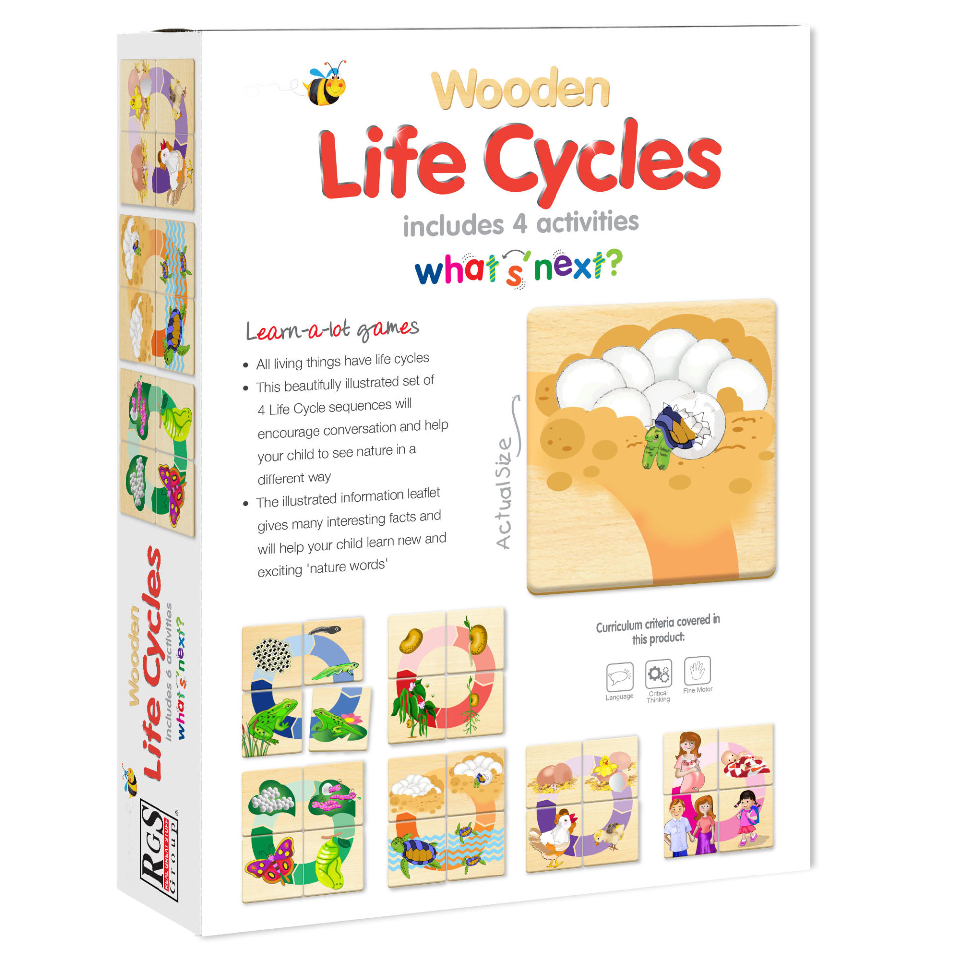 Life Cycles – RGS Group