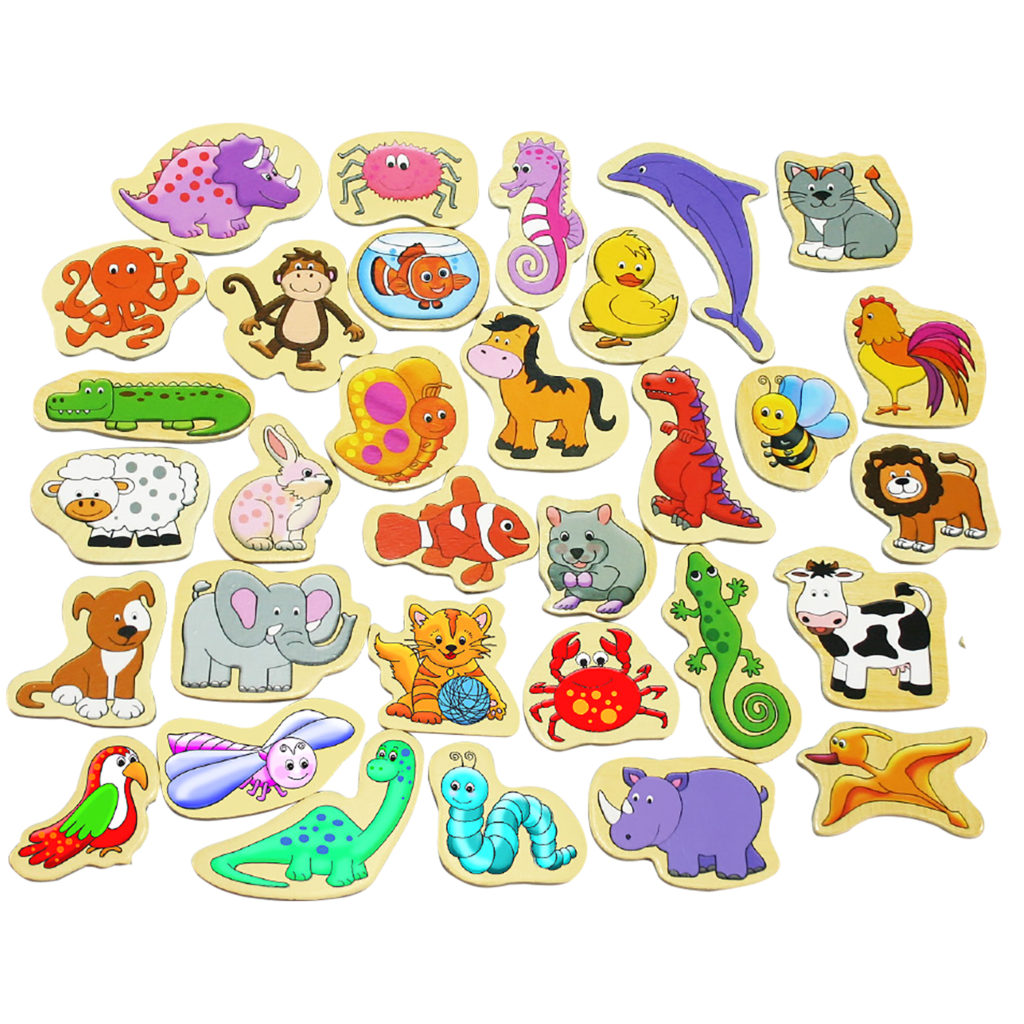 Magnetic Animals – RGS Group