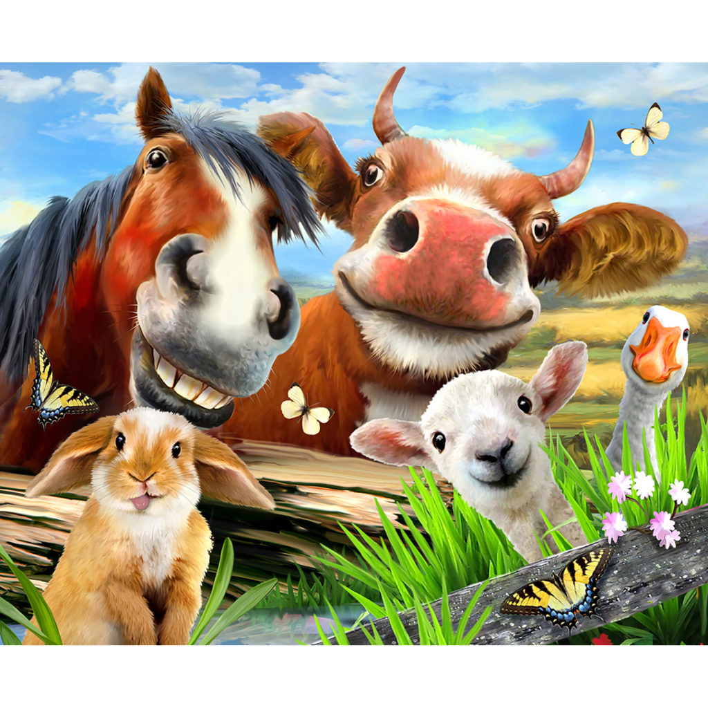 Funny Farm 24pc – RGS Group