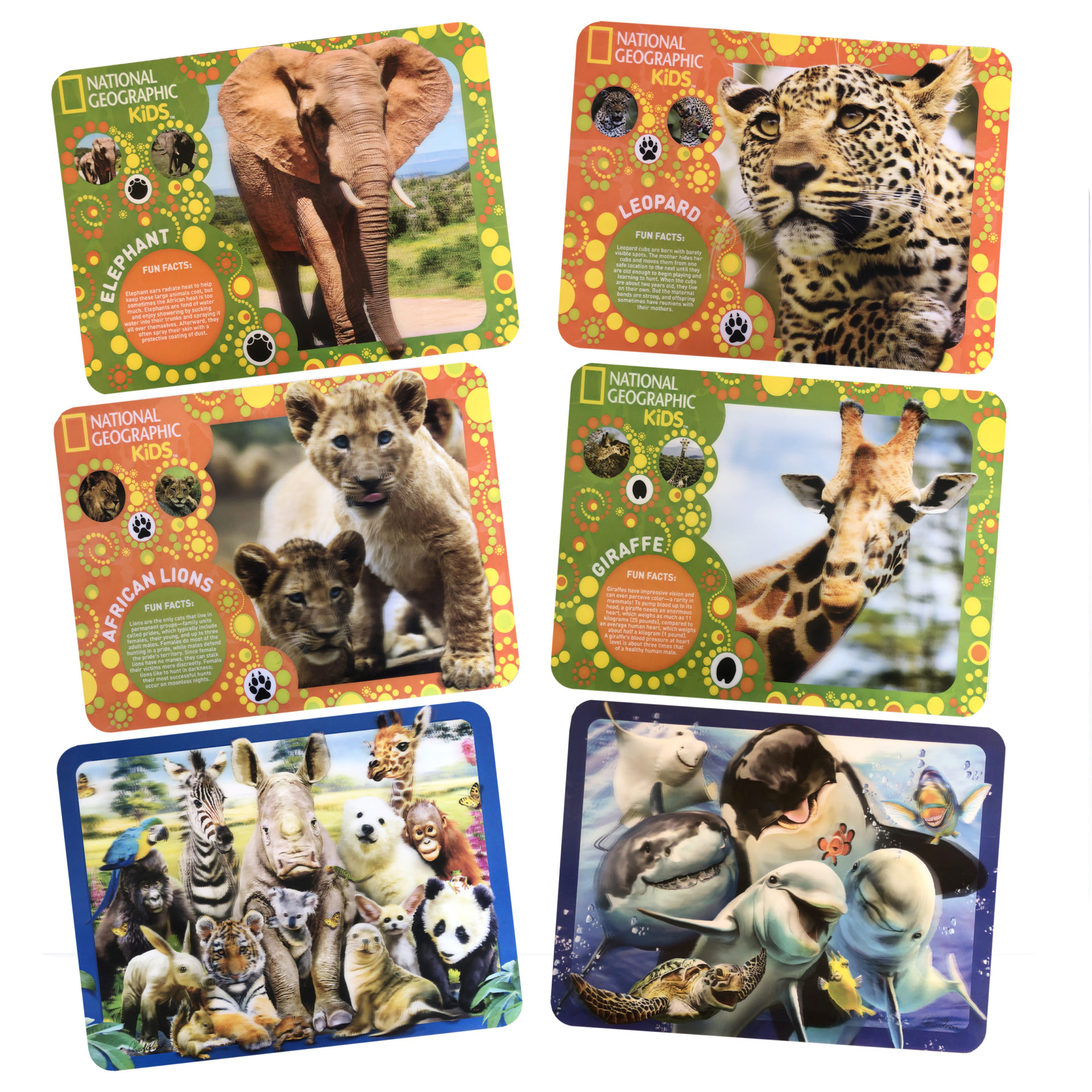 National Geographic Placemat Pack – RGS Group